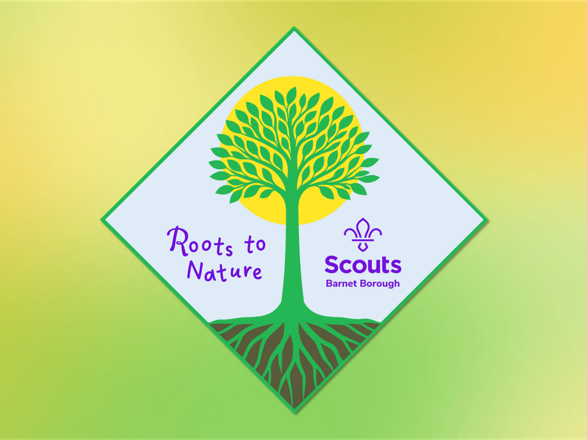 Roots to Nature with Barnet Scouts | Barnet Scouts