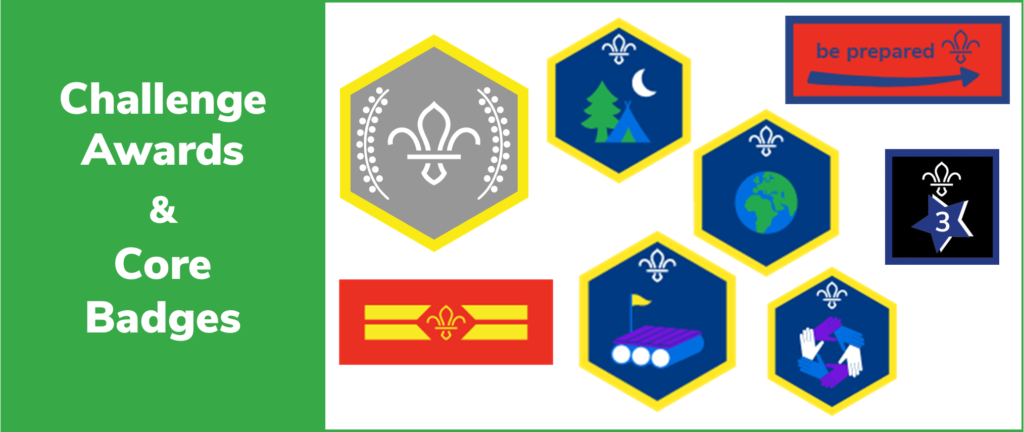 Cubs challenge badges link | Barnet Scouts
