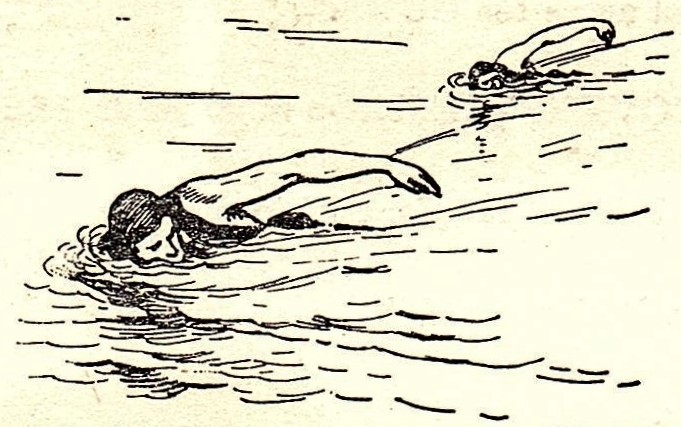 Swimming Gala - Scouts | Barnet Scouts